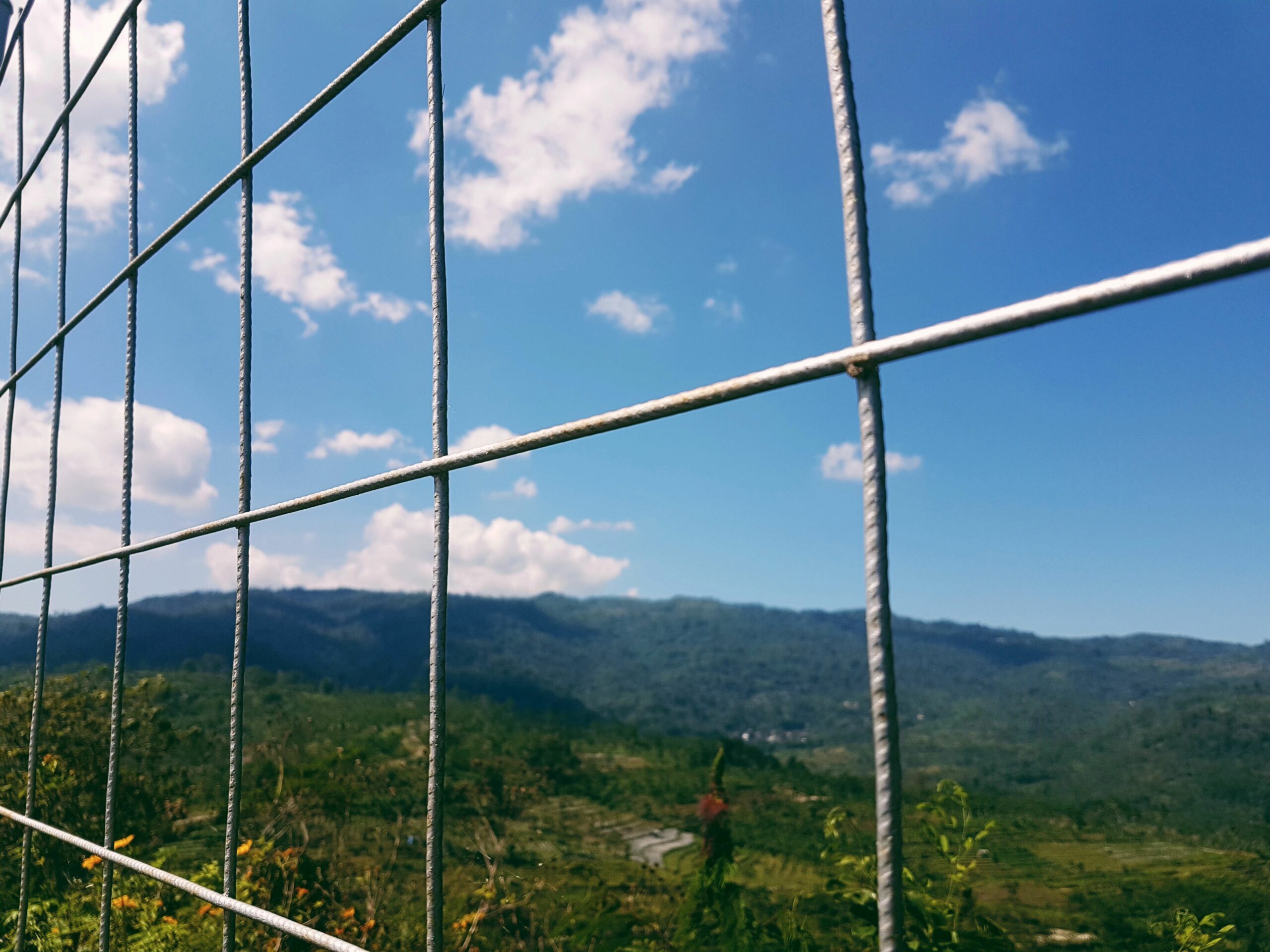 Creating Wildlife-Friendly Fencing - Grip-Rite