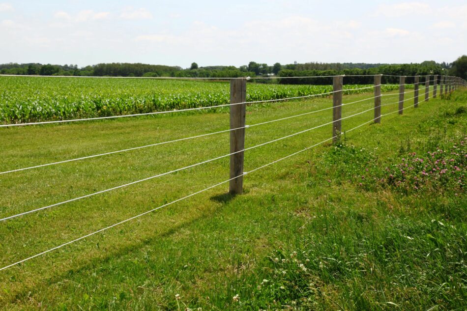 Creating Wildlife-Friendly Fencing - Grip-Rite