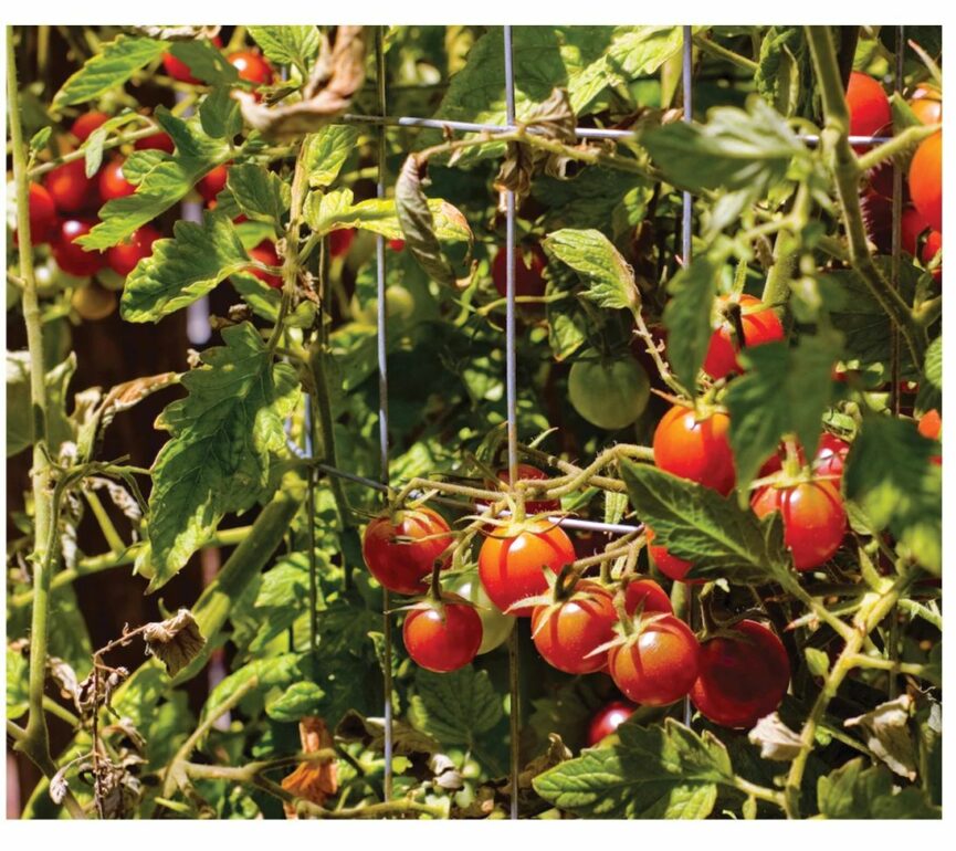 Creating Wildlife-Friendly Fencing - Grip-Rite
